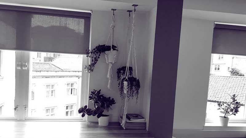 The Latest Additions to the ADLIB Team | ADLIB Blog