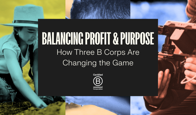Balancing Purpose and Profit: How Three B Corps Are Changing the Game ...