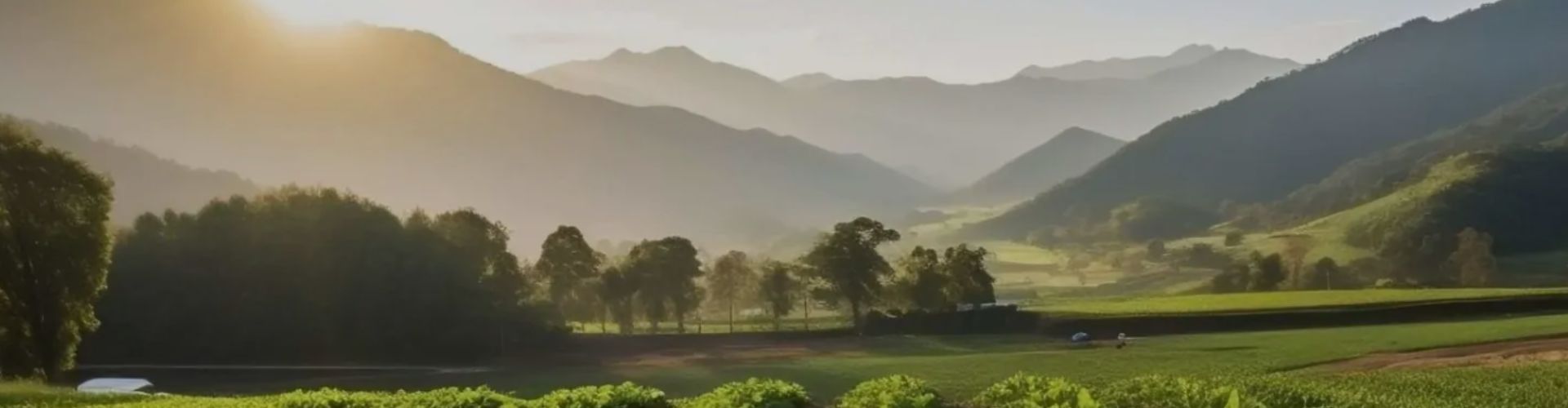 OMEX - ADLIB Recruitment